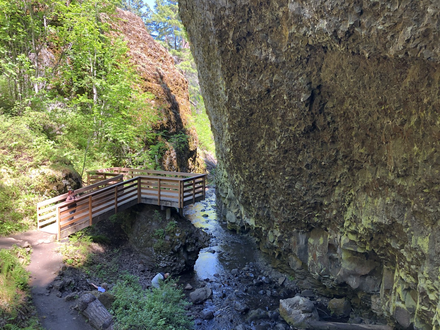 Boulder Cave — Washington Trails Association